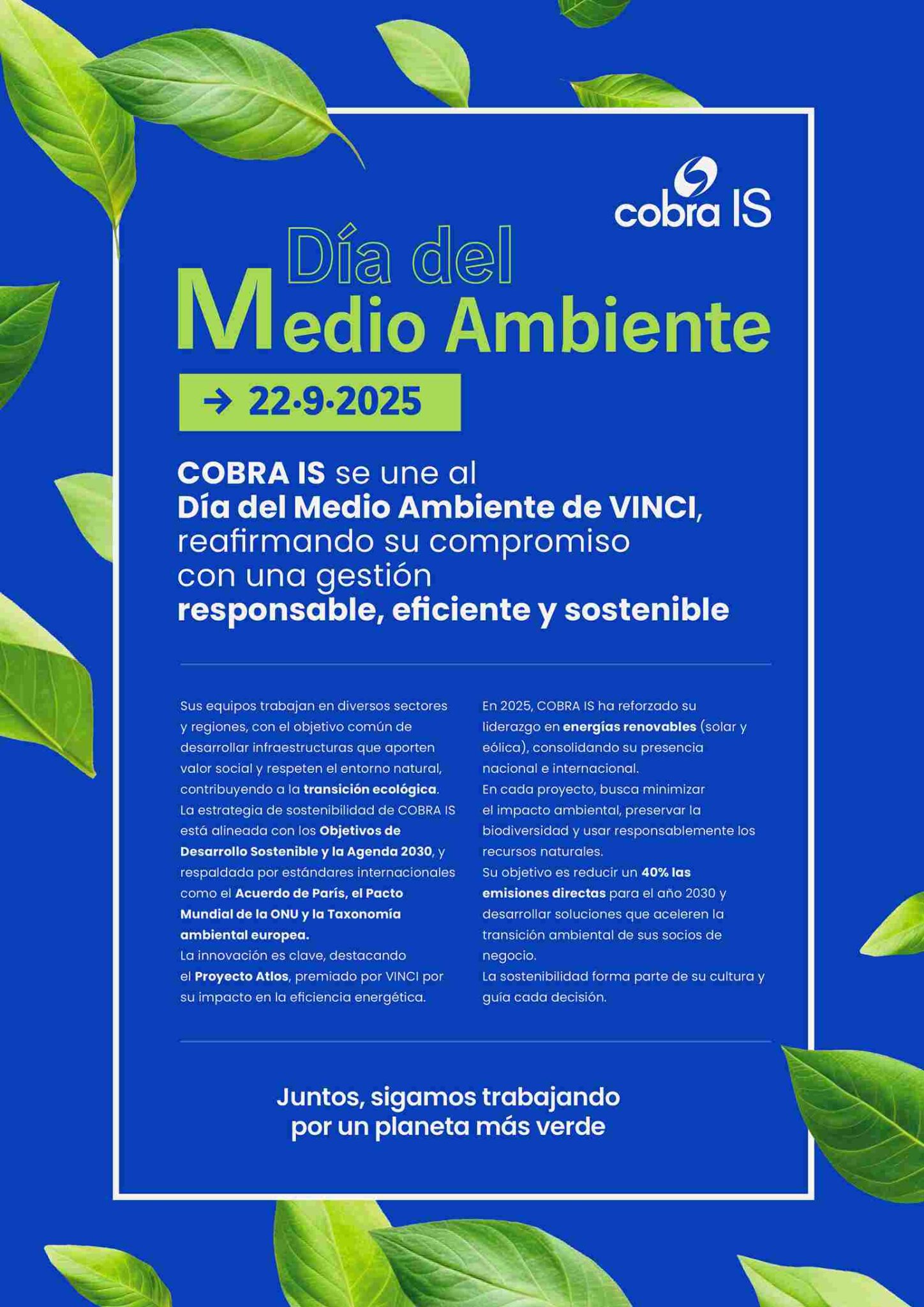 VINCI World Environment Day